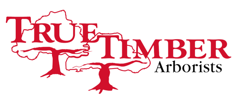 true-timber-logo - James River Outdoor Coalition